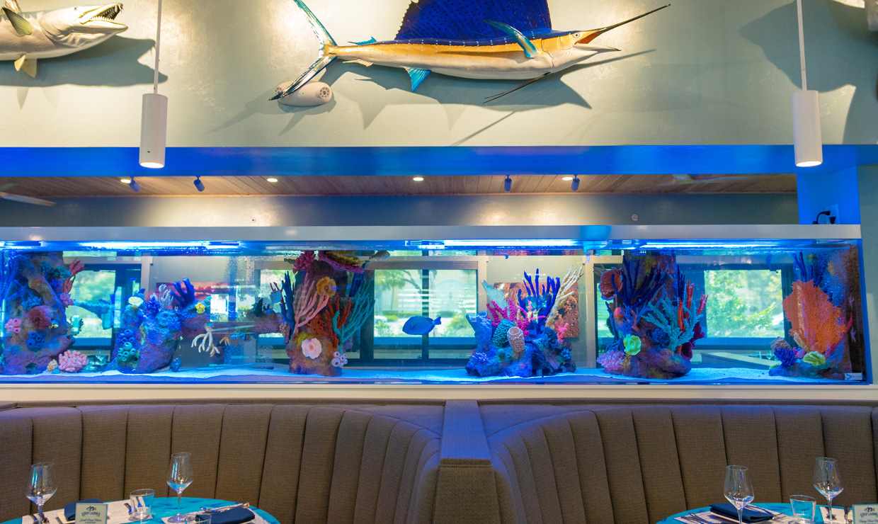 Home - Deep Lagoon Seafood